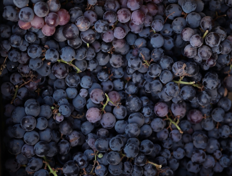 Mallison & Martinez - Attorneys at Law